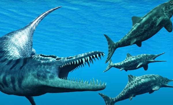 Hallan un impresionante dragón marino de más de 10 metros | El Destape