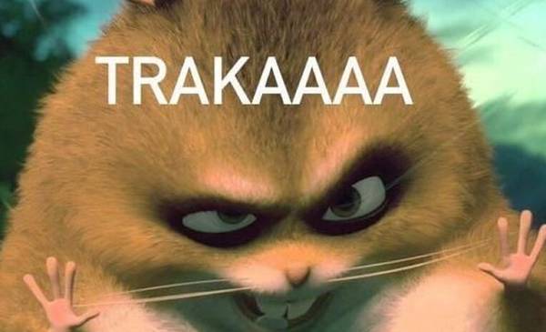 Qué significa Traka, la expresión viral de TikTok | El Destape