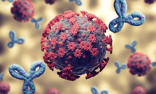 En qué consiste la inmunidad innata contra el COVID-19 | El Destape