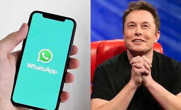 Adiós a WhatsApp: la aplicación que promete destronarla según Elon Musk | El Destape