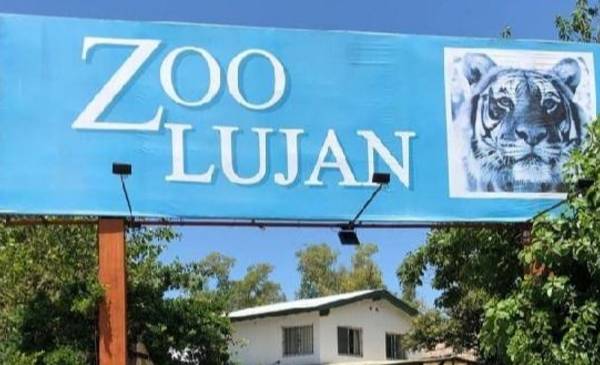 Por qué cerró el zoológico de Luján hace cinco años y qué pasó con los ...