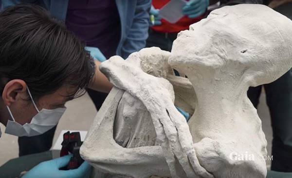 La momia de Perú, ¿era un alien? | El Destape