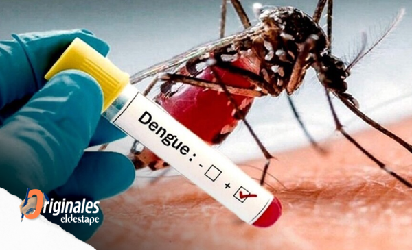 Cómo Está La Transmisión De Dengue En Pba Municipios Afectados Y Miles