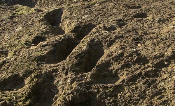 Dónde están las huellas y pisadas de humanos más antiguas del mundo ...