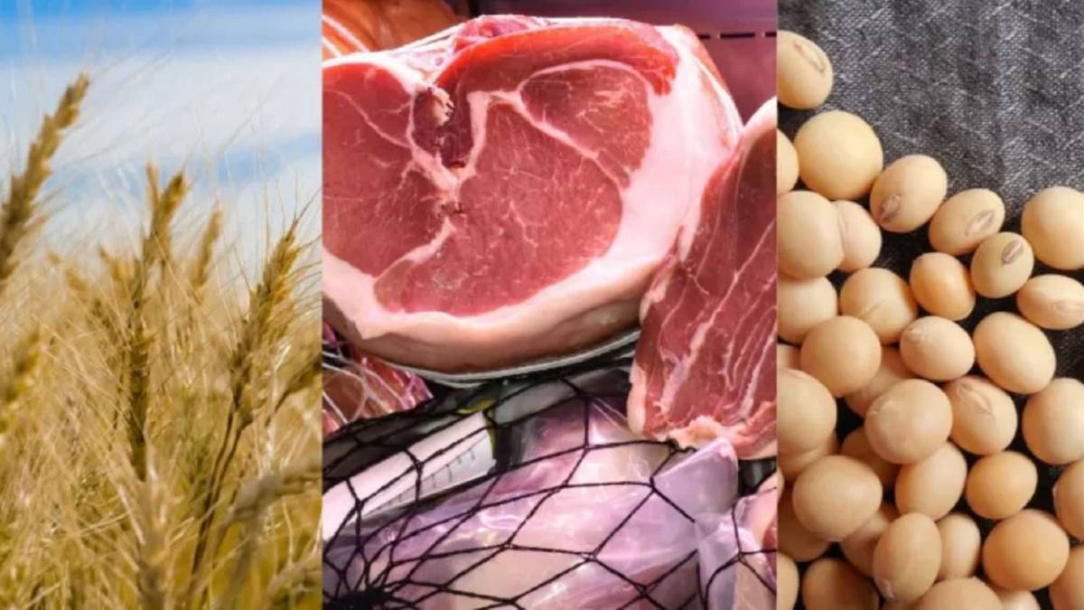 Récord de exportación: Buenos Aires cerró 2024 con un fuerte ...