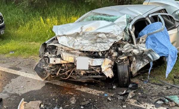 DESIDIA en las RUTAS: DOS CHOQUES FATALES en pocas horas dejaron TRES ...