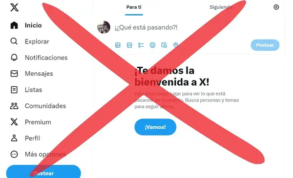 Se cayó X, ex Twitter: los motivos de la caída de la plataforma de Elon ...