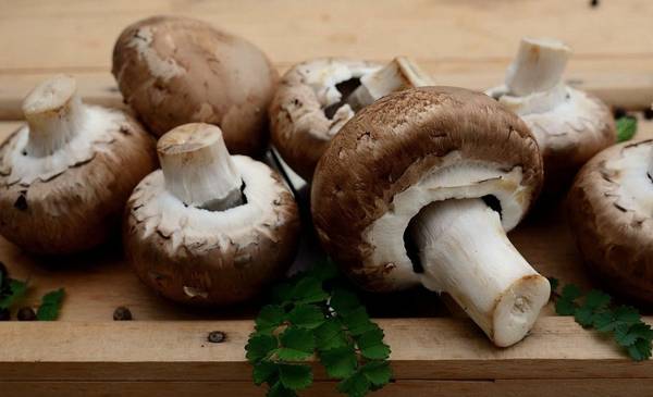 Cómo saber si un hongo es comestible o venenoso: los 3 consejos a seguir | El Destape