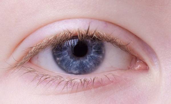 Qué pasa cuando te titila el ojo | El Destape