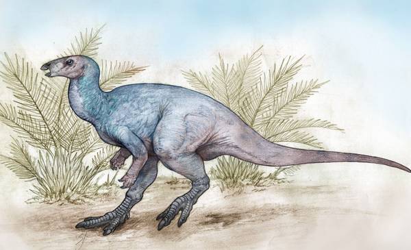 Investigadores argentinos descubrieron un nuevo dinosaurio herbívoro ...