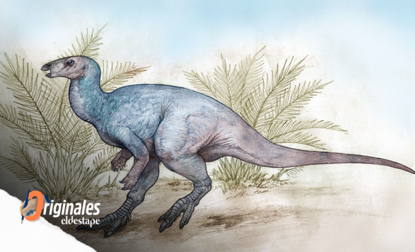 Investigadores argentinos descubrieron un nuevo dinosaurio herbívoro ...