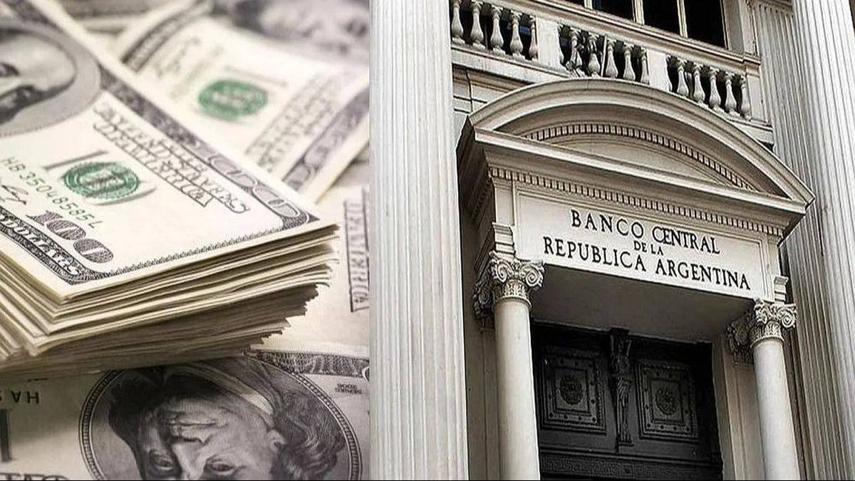 En plena crisis, el BCRA intenta frenar el rulo cambiario y garantizar ...