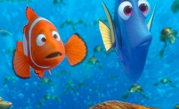 La ciencia reveló un dato increíble sobre BUSCANDO A NEMO que cambia la ...