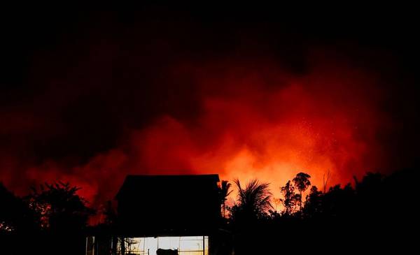 Los incendios del Amazonas causan una pérdida de bosques récord en el ...