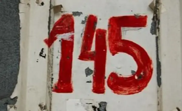 Significado del número 145: qué es en la numerología | El Destape