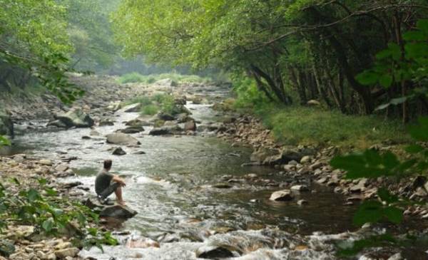Tiene toneladas de oro: descubrieron un río con un tesoro invaluable ...