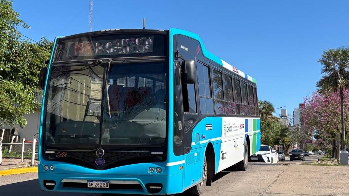 Paro de colectivos en Chaco: la advertencia de la UTA en medio de la ...