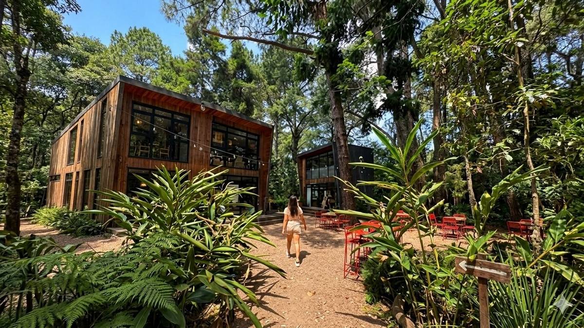 Es como tomar un café en un bosque de cuento, pero queda en Buenos ...
