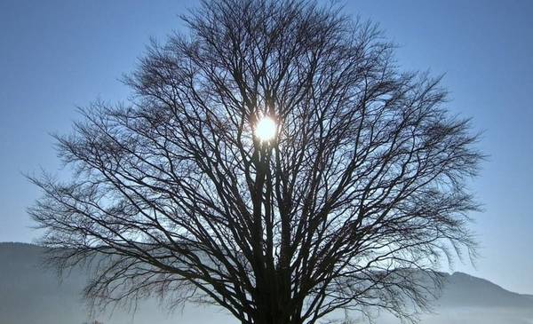 Solsticio de invierno: qué es, cuándo empieza y por qué es el día más ...