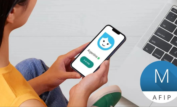 Qué es "Tina", el chatbot de AFIP: cómo se usa y para qué sirve | El ...