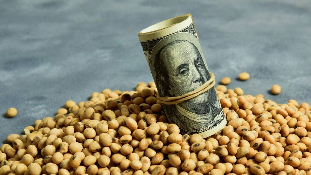 Quiénes son los 11 grandes exportadores del Agro que embolsaron U$S 1. ...