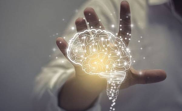 Holístico: qué es, significado y definición | El Destape