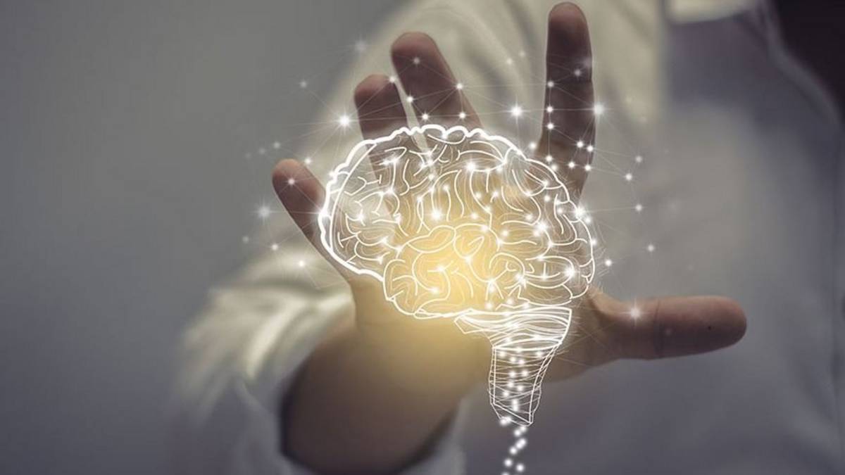 Holístico: qué es, significado y definición | El Destape