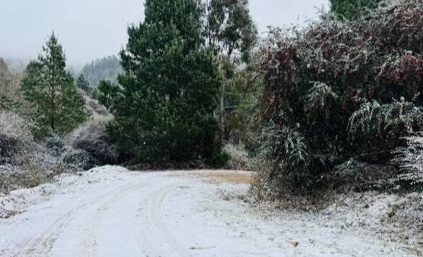 Nevó en Argentina y hay furor en plena ola polar: las imágenes del ...