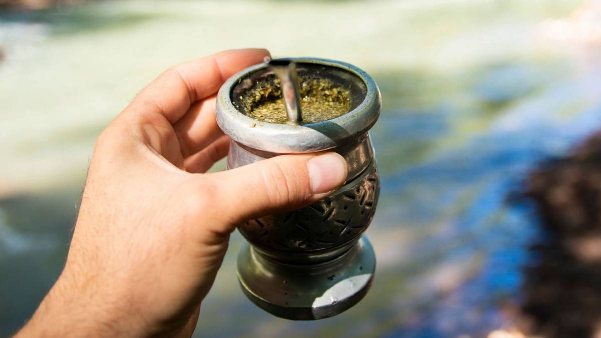 Descubrimiento clave de la UBA: investigan cómo el mate podría retrasar ...