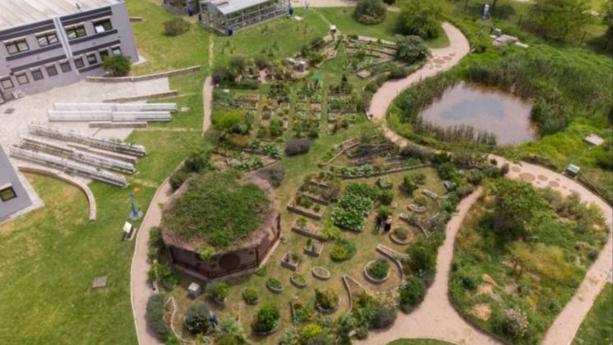 Recorrido gratuito por el Paseo Ambiental del Sur: senderos con ...