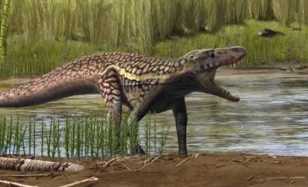 Arcosaurios bajo la lupa: cuando la paleontología desborda a los ...