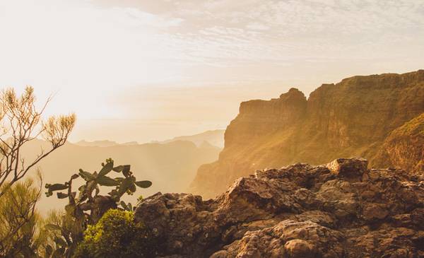 Roraima: el misterioso mundo perdido de Sudamérica | El Destape