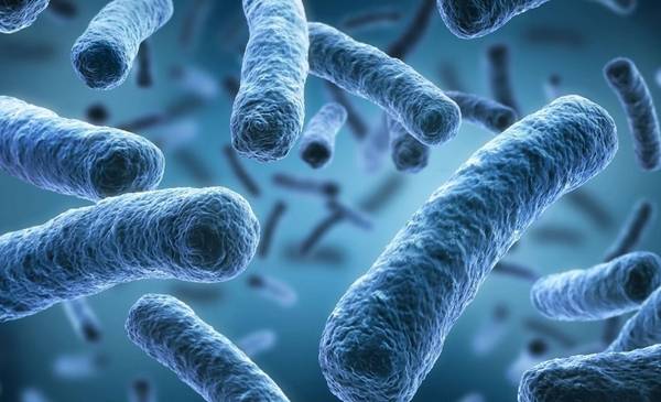 Tucumán: qué es la legionelosis y por qué desencadenó un brote de ...