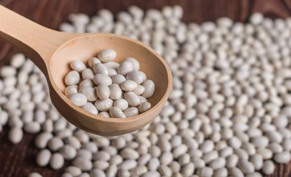 Cómo cocinar poroto | El Destape