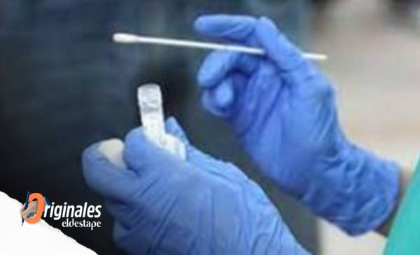 Diseñaron una PCR que detecta tres virus respiratorios al mismo tiempo ...
