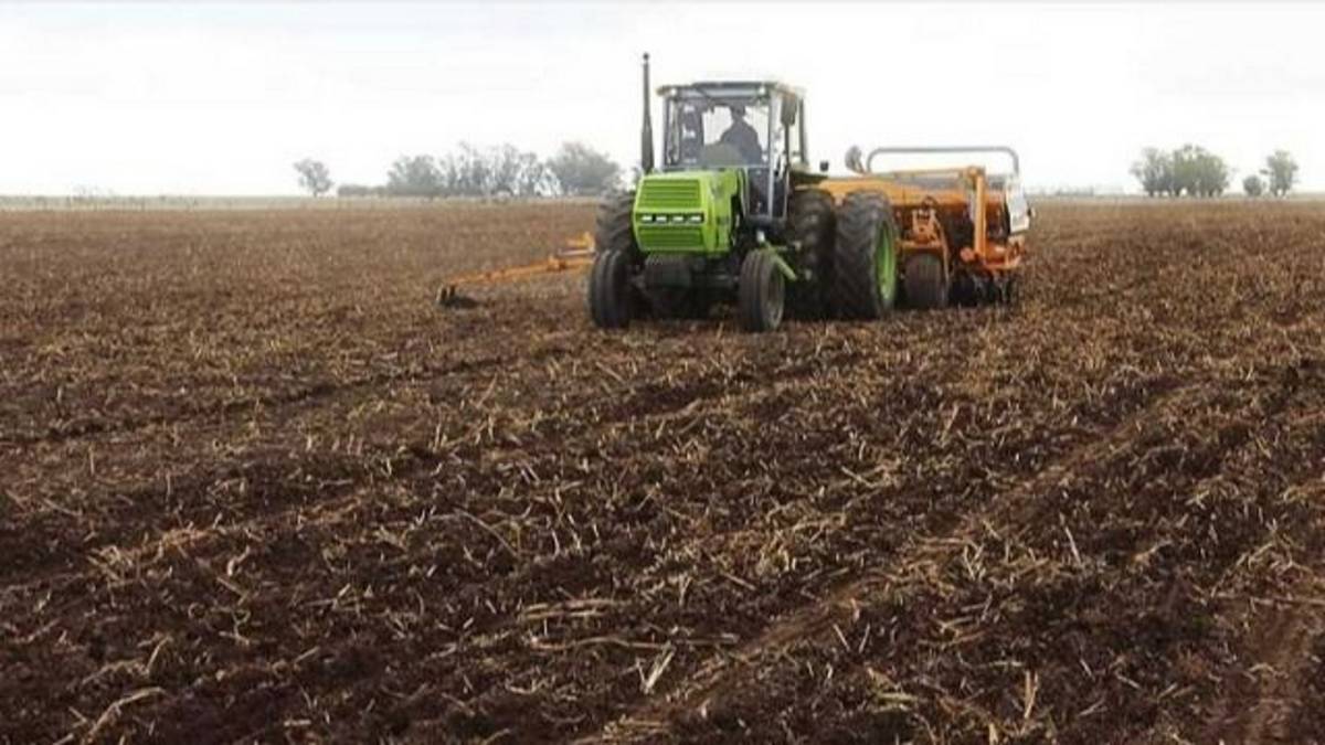 Por la sequia, el ingreso de dólares del Agro fue el peor en 20 años ...