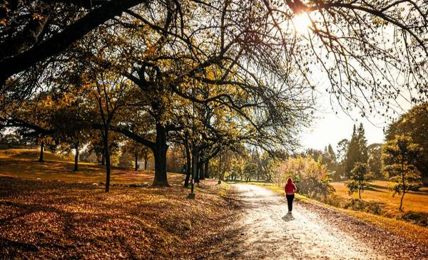 ¿Cuáles son 5 características del otoño? | El Destape