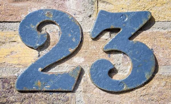 Significado del número 23: qué es en la numerología | El Destape