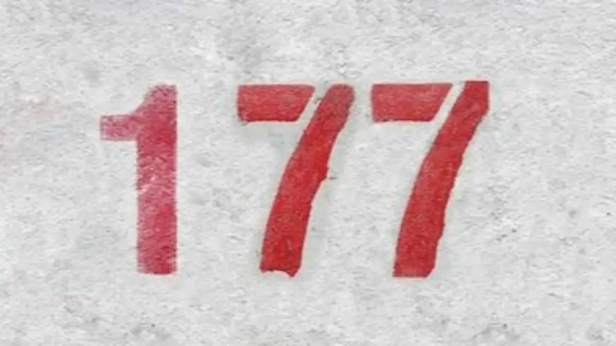 Significado del número 177: qué es en la numerología | El Destape