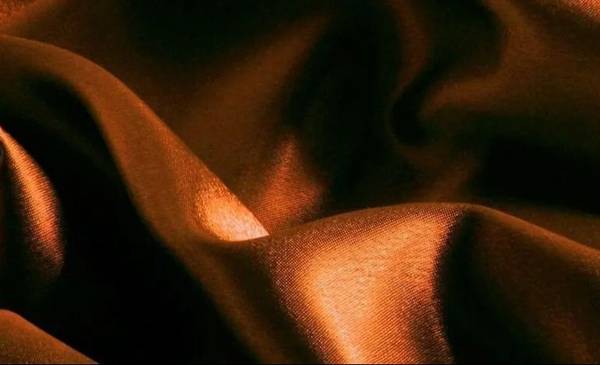 Qué significa el color marrón, según la psicología | El Destape