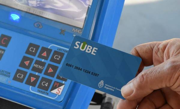 ¿Qué pasa si tardo en apoyar mi Tarjeta SUBE en el validador? | El Destape