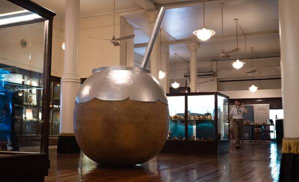El mate tiene su museo y se prepara para su gran Día Nacional | El Destape