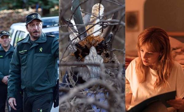 Final explicado de "El cuco de cristal", la serie de Netflix | El Destape