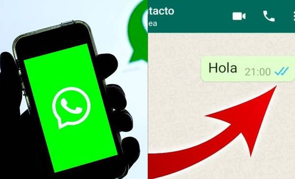 Llega la tercera tilde azul en WhatsApp: de qué trata y qué significa ...